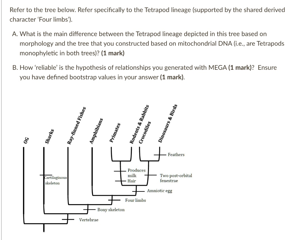 Refer to the tree below. Refer specifically to the Tetrapod lineage ...