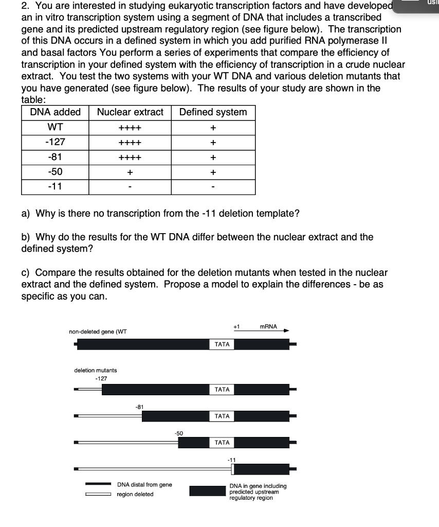 SOLVED: You are interested in studying eukaryotic transcription factors ...