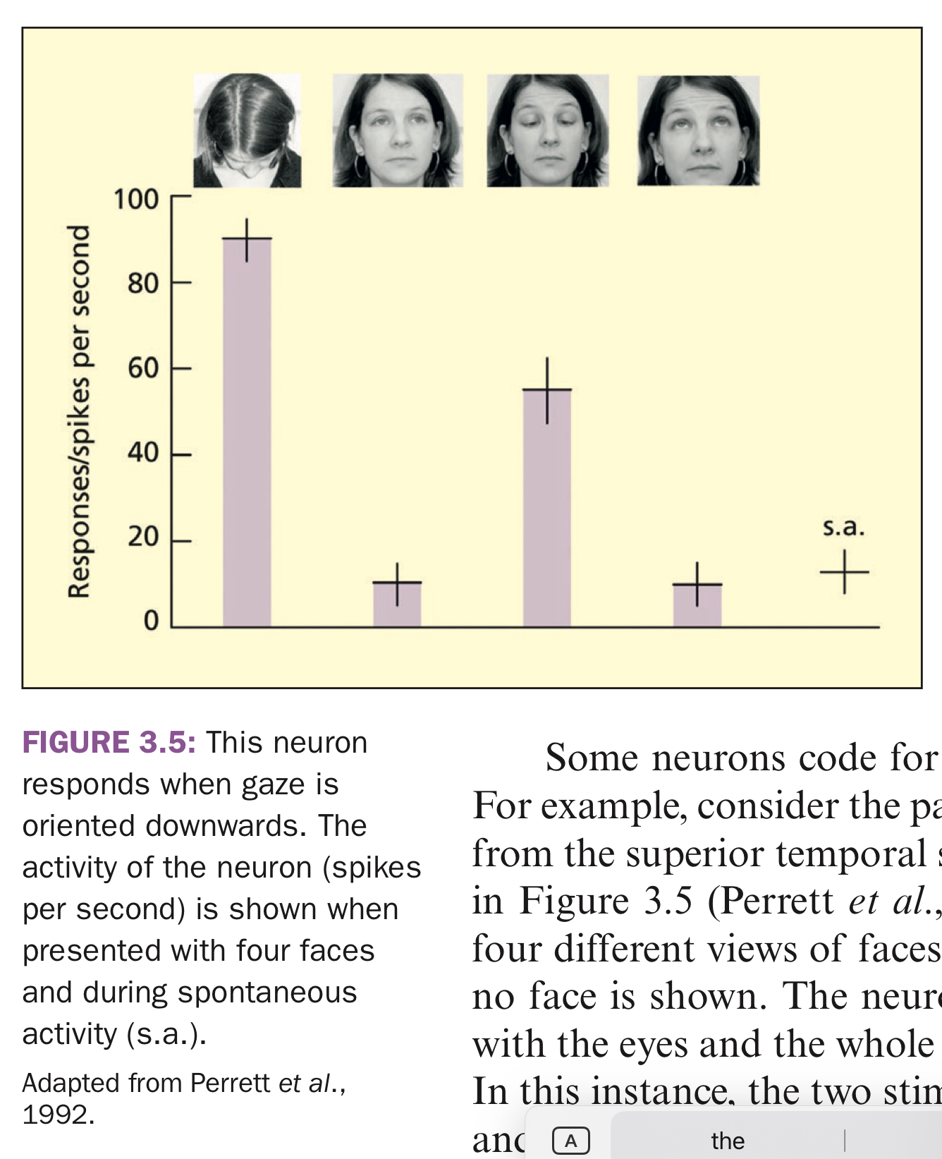 SOLVED: FIGURE 3.5: This neuron responds when gaze is oriented ...