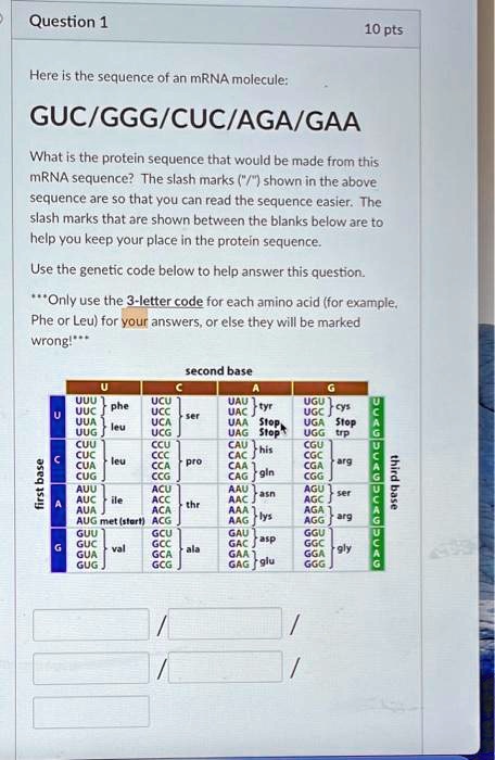 SOLVED: Here is the sequence of an mRNA molecule: GUC/GGG/CUC/AGA/GAA ...