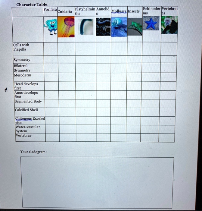 character table porifera platyhelmin anna cnidaria iths eechinoder ...