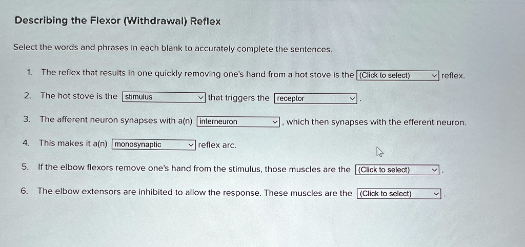 describing the flexor withdrawal reflex select the words and phrases in ...