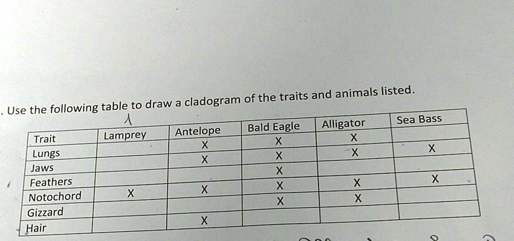 SOLVED: use the following table to draw a cladogram of the traits and ...