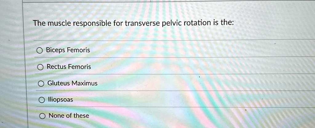 the muscle responsible for transverse pelvic rotation is the biceps ...