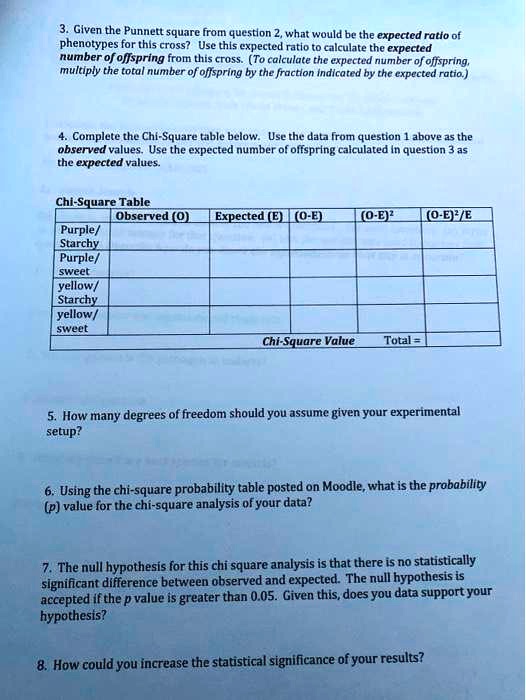 SOLVED: Given the Punnett square from the question, what would be the expected ratio of ...