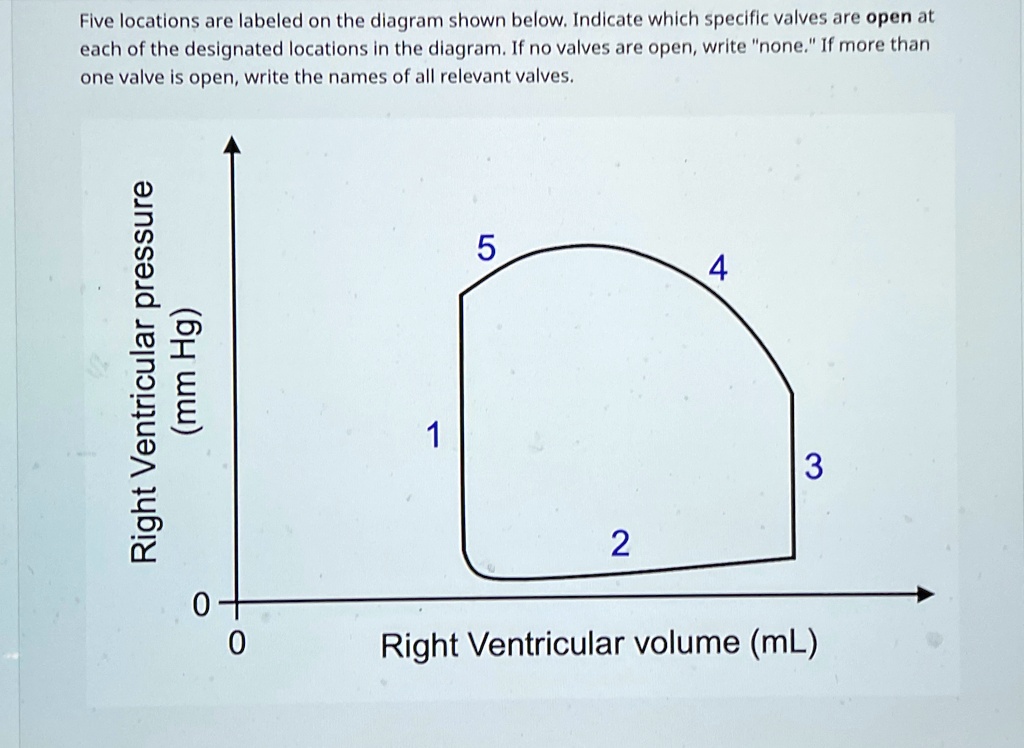 five locations are labeled on the diagram shown below indicate which ...