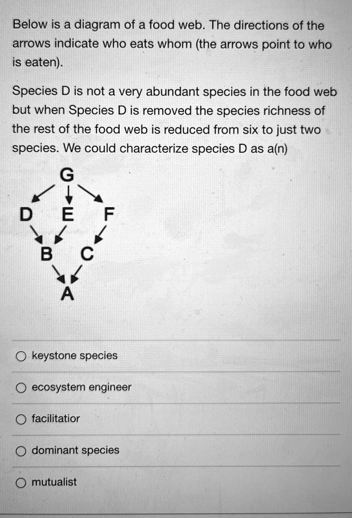 Below is a diagram of a food web. The directions of the arrows indicate ...