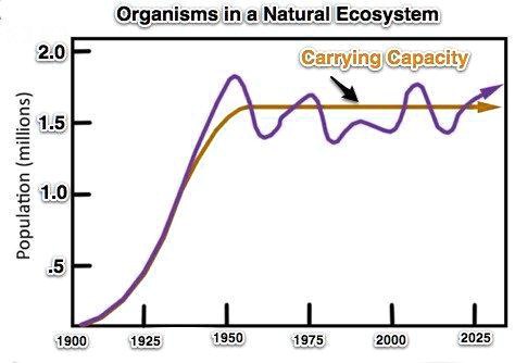 SOLVED: 'The graph represents a typical carrying capacity graph, or the ...