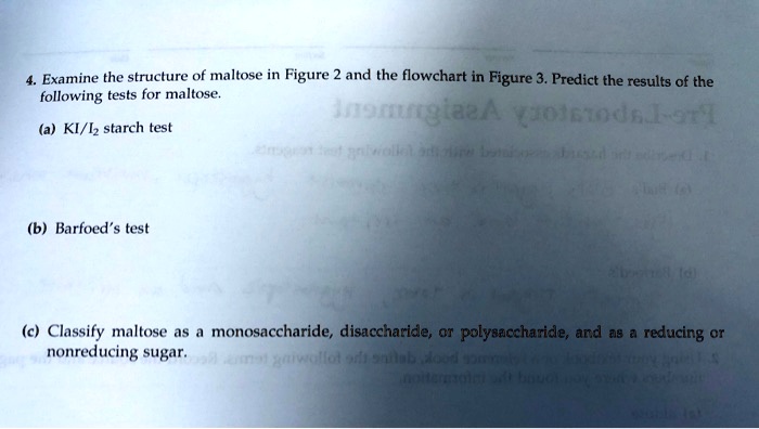SOLVED: Examine the structure of maltose in Figure 3 and the flowchart ...
