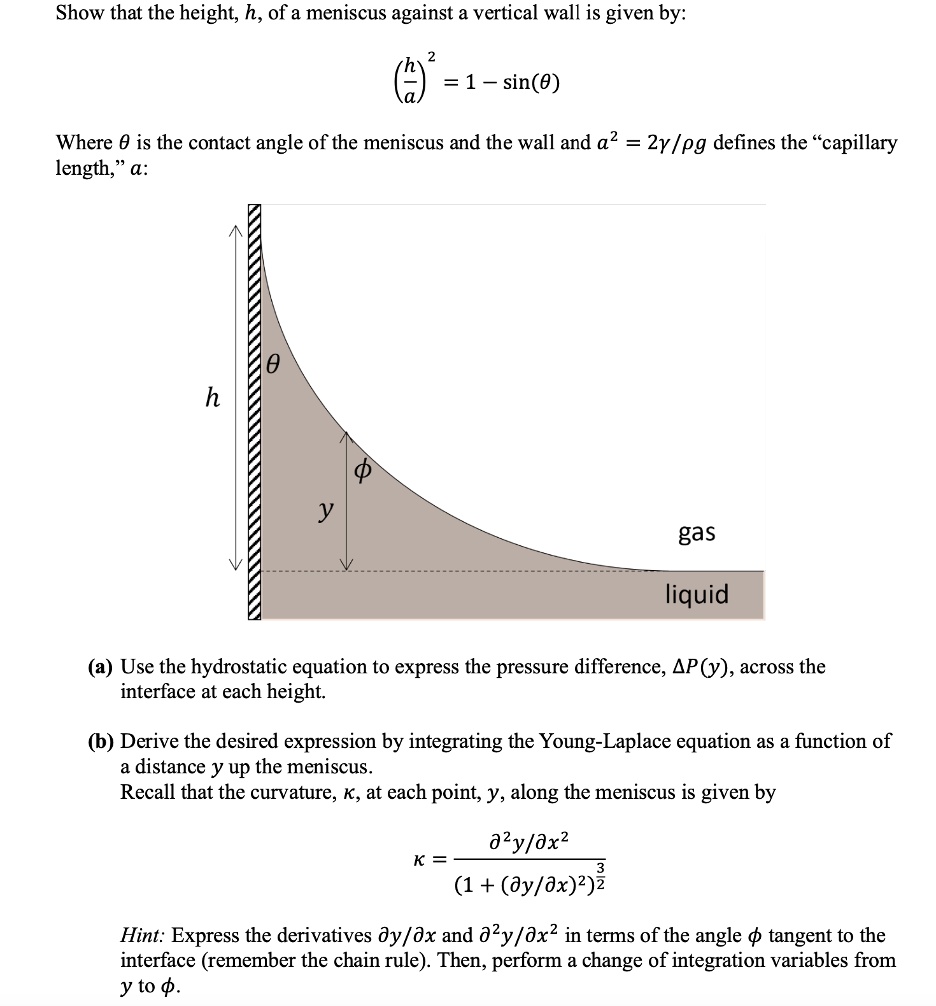 Show that the height, h, of a meniscus against a vertical wall is given ...