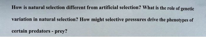SOLVED: How is natural selection different from artificial selection ...