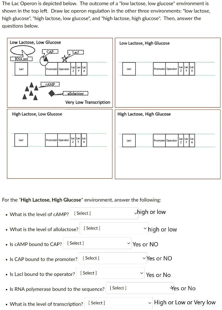 SOLVED: Please answer and explain: that's all th info for the question ...