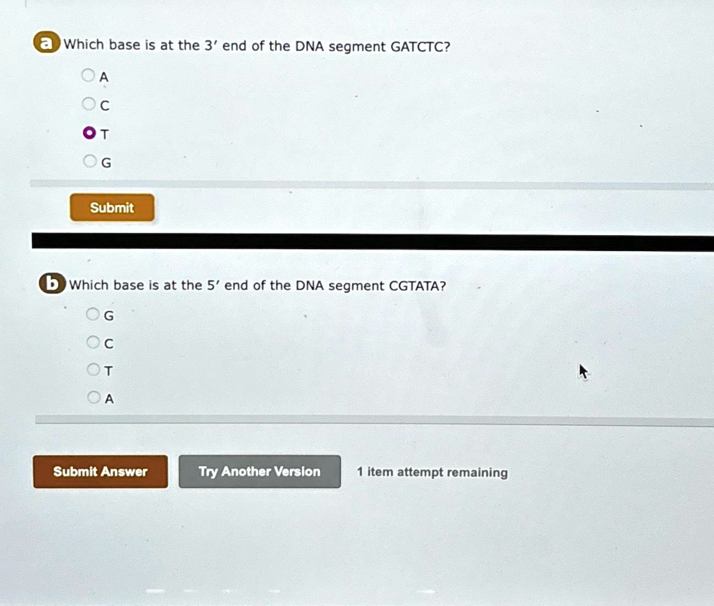 SOLVED: (a) Which base is at the 3' end of the DNA segment GATCTC? A C T G (b) Which base is at ...