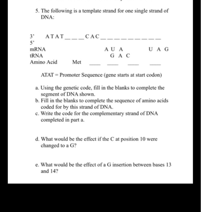 SOLVED:5. The following is & template strand for one single strand of DNA: ATAT _ CAC mRNA A U A ...