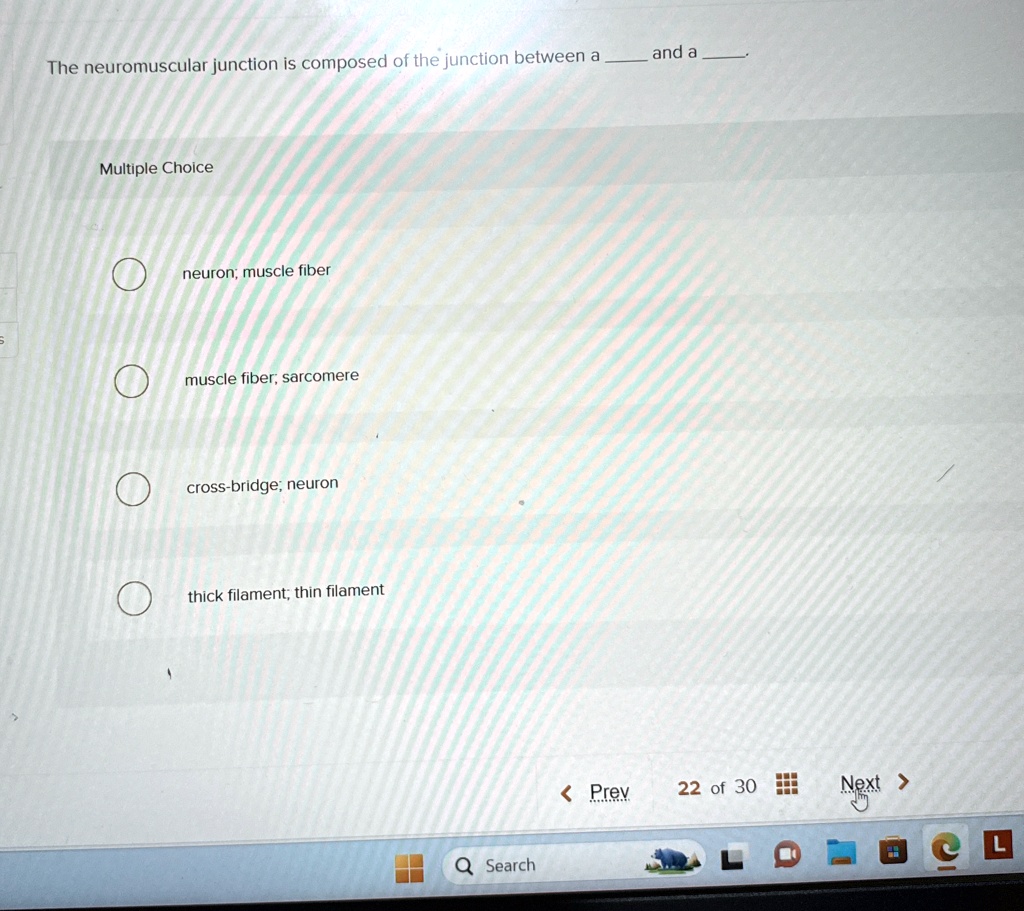 The neuromuscular junction is composed of the junction between a and a ...