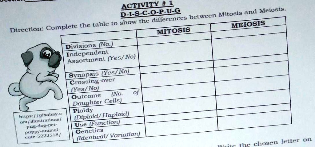 ACTIVITY # 1 D-I-S-C-O-P-U-G Direction: Complete the table to show the ...