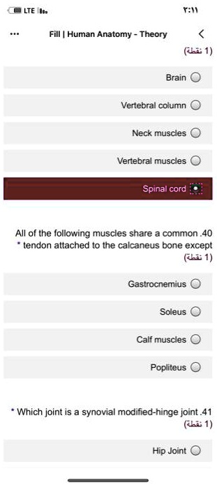 LTE ?:?? Fill | Human Anatomy - Theory
