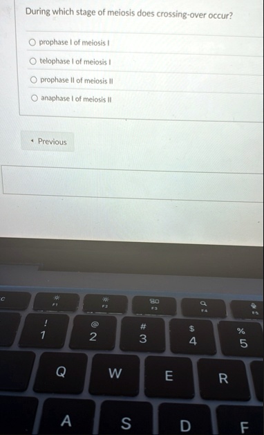 during which stage of meiosis does crossing over occur prophase i of ...
