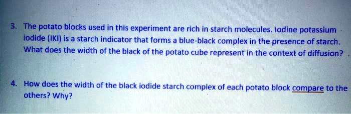 The potato blocks used in this experiment are rich in starch molecules ...
