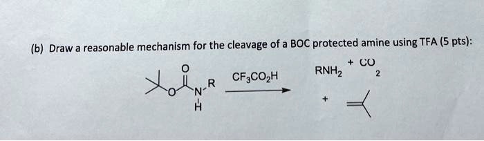 draw a reasonable mechanism for the cleavage of a boc protected amine ...