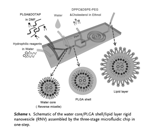 SOLVED: DPPCEDSPE-PEG Cholesterol Elnnol PLGAADOTAP DMF Water ...