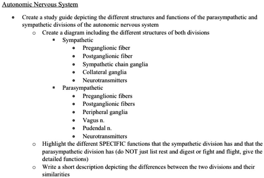 Autonomic Nervous System • Create a study guide depicting the different structures and functions ...