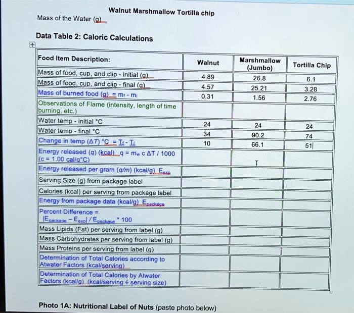 Mass of the Water (g) Walnut Marshmallow Tortilla chip Data Table 2 ...