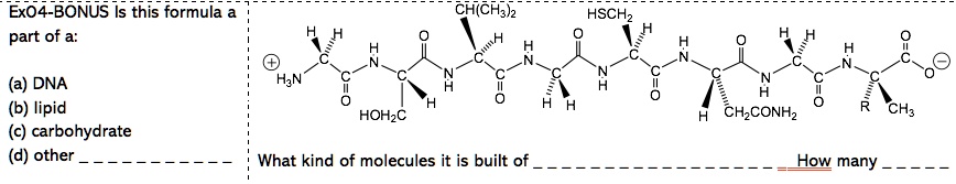 SOLVED:Exo4-BONUS Is this formula part of a: (a) DNA (b) lipid ...