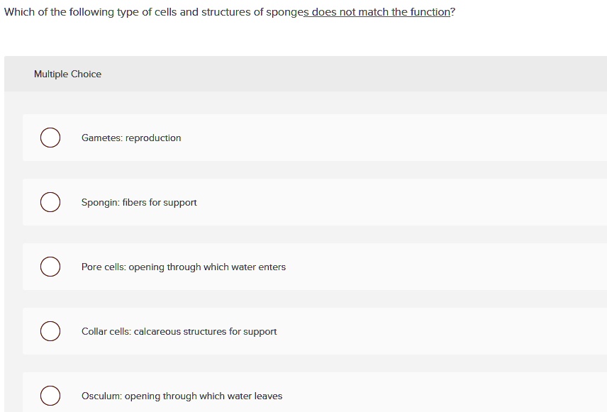 Which of the following type of cells and structures of sponges does not ...