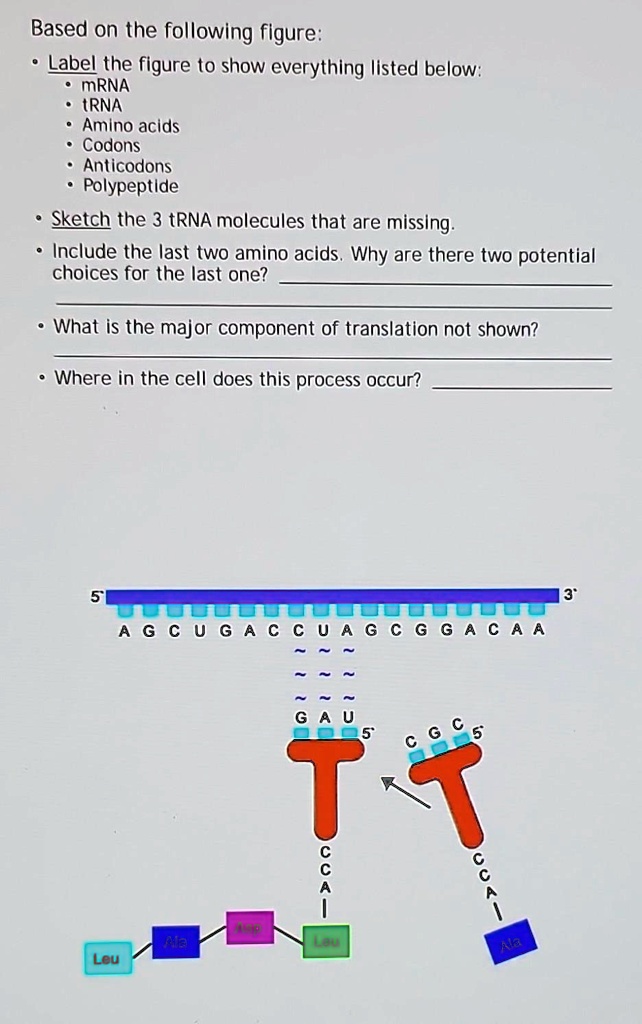 Solved Texts Based On The Following Figure Label The Figure To Show