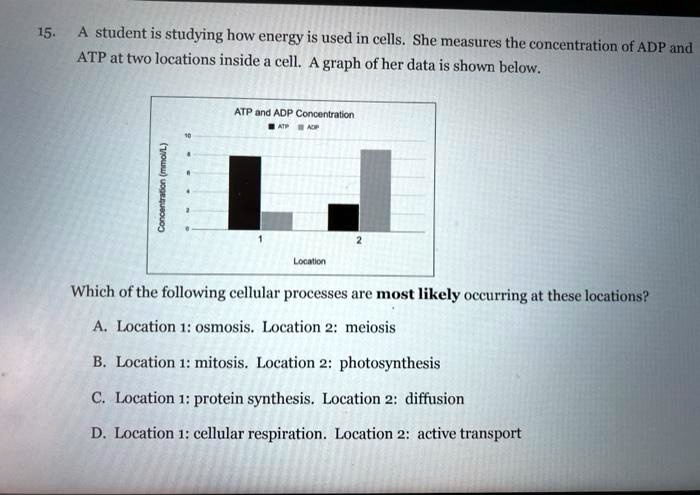 A student is studying how energy is used in cells she...