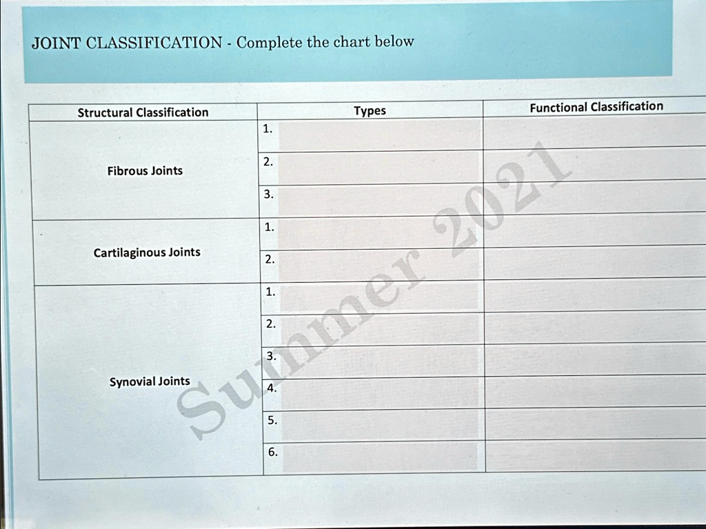JOINT CLASSIFICATION - Complete the chart below JOINT CLASSIFICATION ...