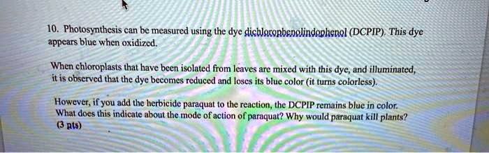 10 photosynthesis can be measured using the dye ...