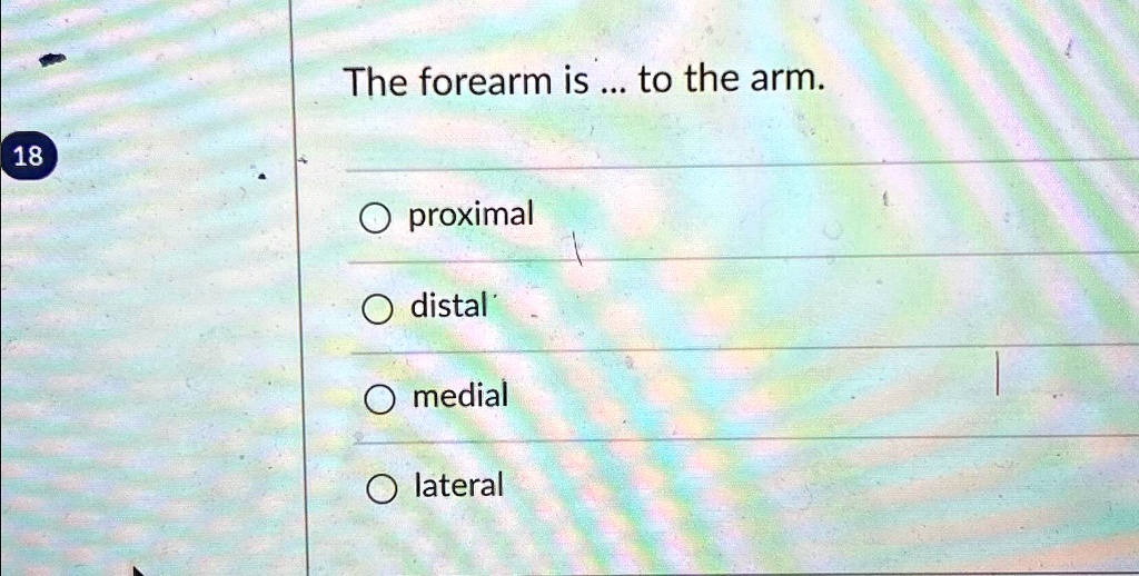 SOLVED: The forearm is ... to the arm. proximal distal medial lateral ...