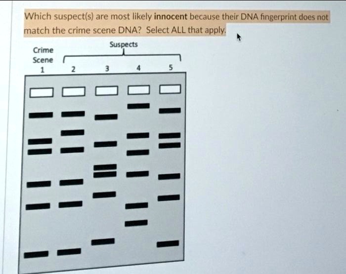 Which suspect(s) are most likely innocent because their DNA...