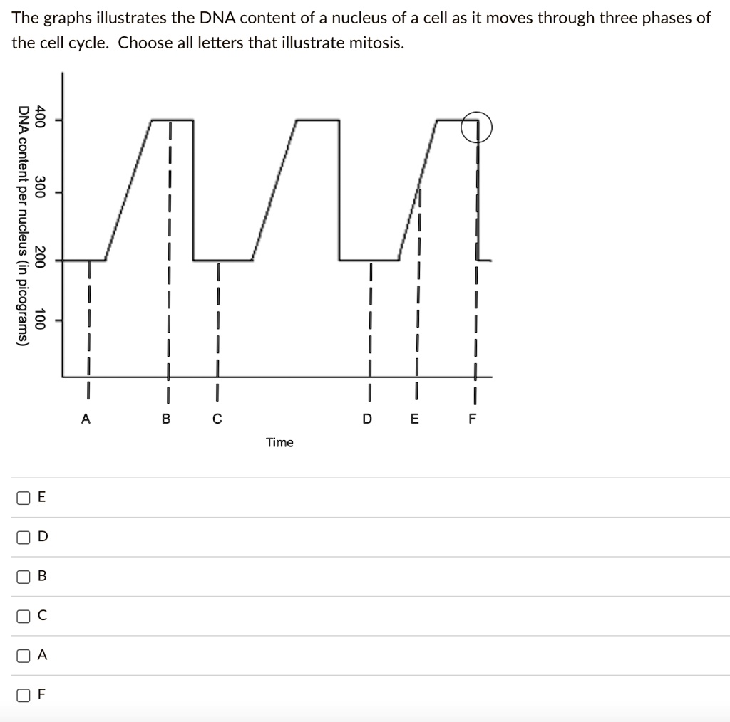SOLVED: The graphs illustrates the DNA content of a nucleus of a cell ...