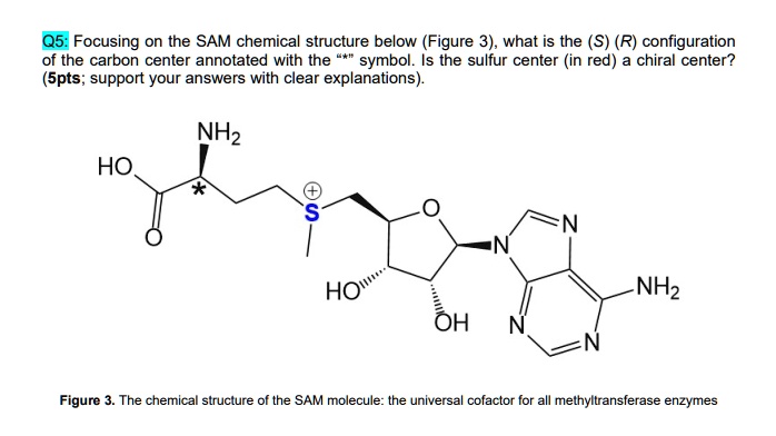 q5 focusing on the sam chemical structure below figure 3 what is the s ...