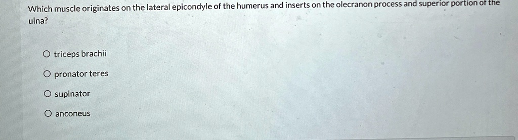 which muscle originates on the lateral epicondyle of the humerus and ...