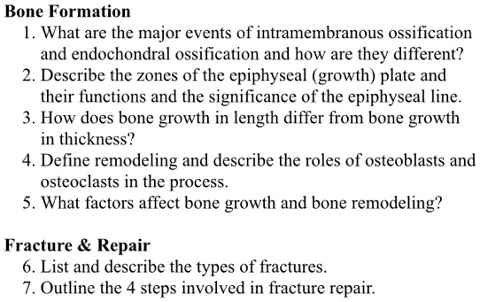 Bone Formation 1. What are the major events of intramembranous ...