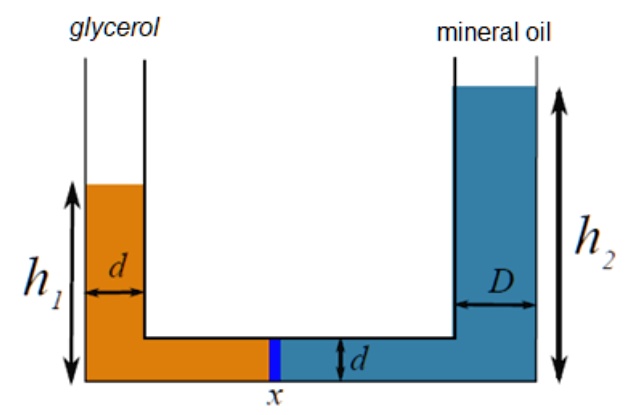 SOLVED: In a u-shaped tube with a circular cross-section, glycerol ...