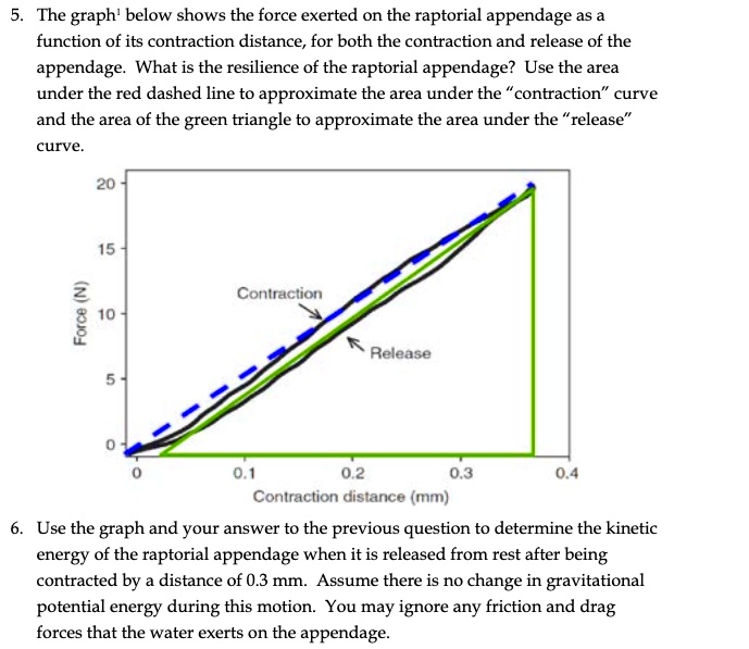 5. The graph¹ below shows the force exerted on the raptorial appendage ...