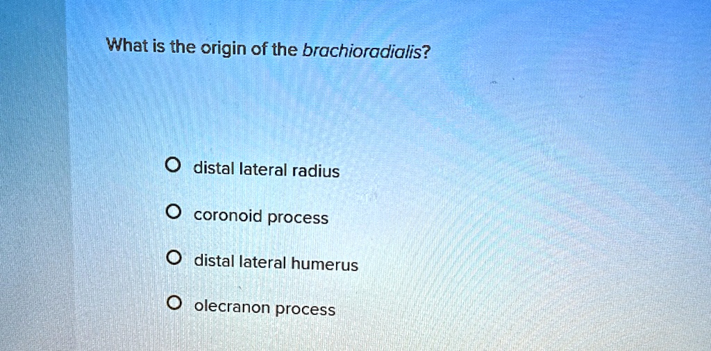 What is the origin of the brachioradialis? O distal lateral radius O ...