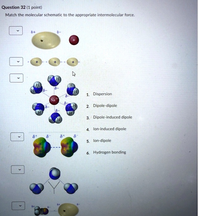 SOLVED: Question 32 (1 point) Match the molecular schematic to the ...