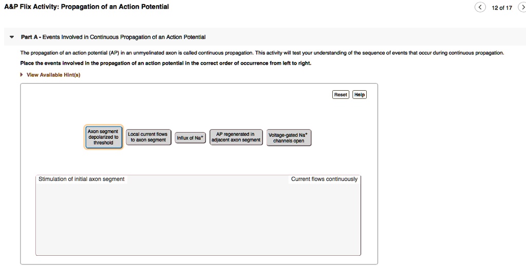 ap flix activitypropagation of an action potential 12of17 part a events ...