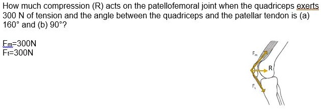 How much compression (R) acts on the patellofemoral joint...