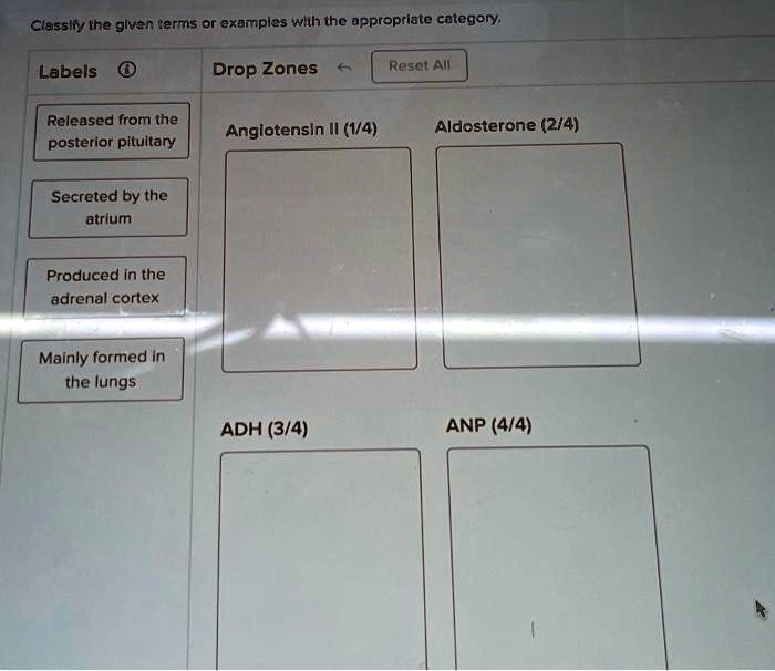 Classify the given terms or examples with the appropriate category. Labels Drop Zones Released ...