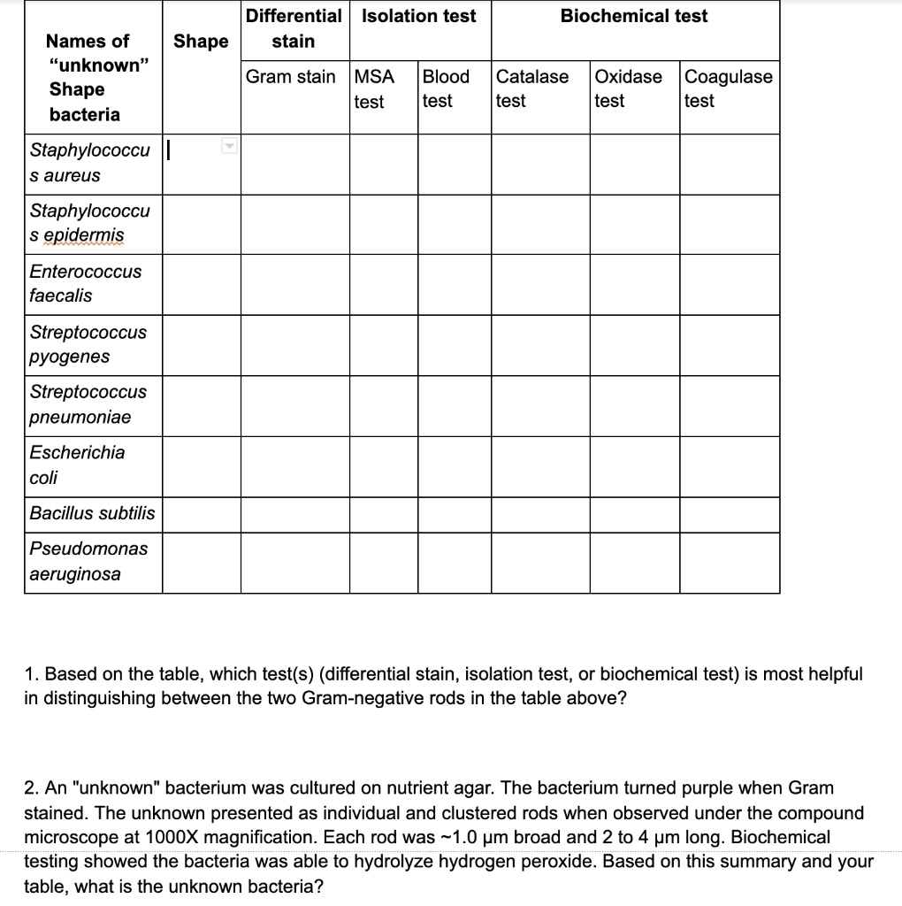 SOLVED: Differential Isolation test Biochemical test Names of Shape ...