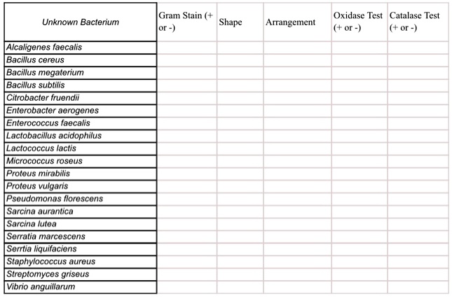 SOLVED: Gram Stain (+ Shape) Oxidase Test Catalase Test OF - OF ...