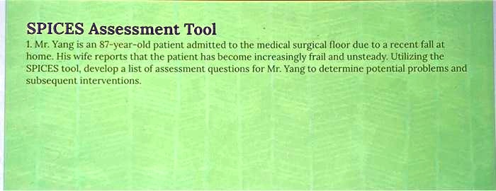 texts spices assessment tool 1 mr yang is an 87 year old patient ...