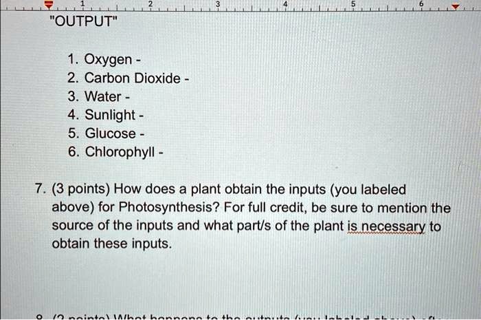 SOLVED: "OUTPUT" 1. Oxygen 2. Carbon Dioxide 3. Water 4. Sunlight 5 ...